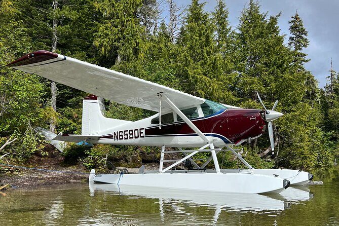 Sitka Sound Private Seaplane Tour Experience - Who Should Consider This Tour?