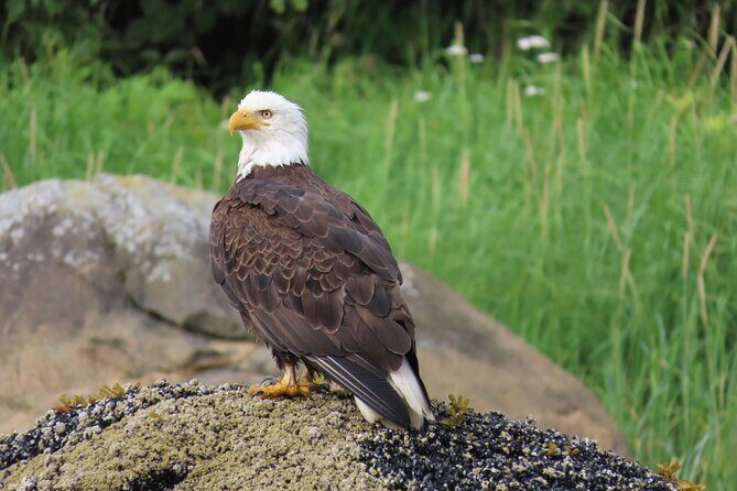 Sitka Whale Watch and Sea Otter Quest - Comfort and Logistics