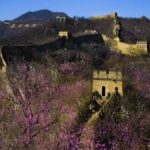 Six Days Highlight Tour from Beijing to Kunming by High-speed Train - Practical Considerations