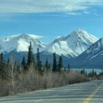 Skagway: Yukon Dog Mushing & Sightseeing Tour - The Value of This Tour