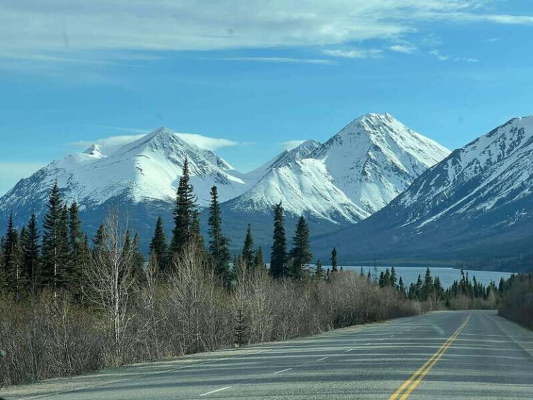Skagway: Yukon Dog Mushing & Sightseeing Tour - The Value of This Tour