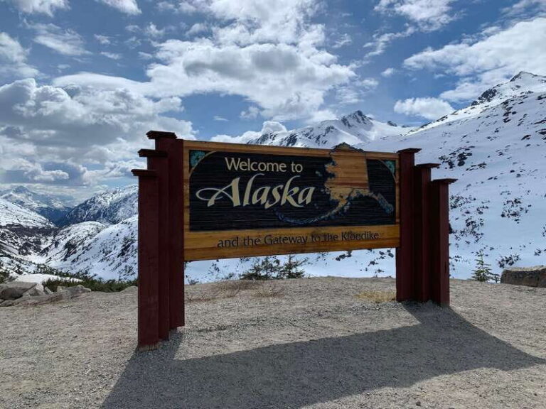 Skagway: Yukon Suspension Bridge & Summit Tour - The Value and Why It Works for Travelers
