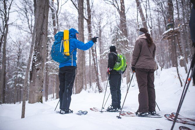 Skiing (Hok Ski) Excursion in Jacques-Cartier National Park - What’s Included and What You Need to Bring