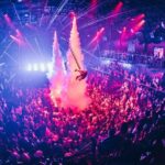 Skip the line: Gold Member Ticket Playa del Carmen - Viewing Experience: What Do You See?