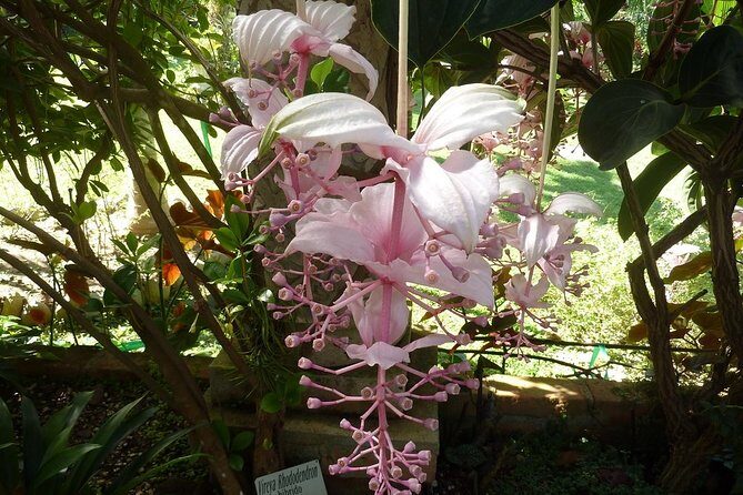 Skip the Line: Vallarta Botanical Garden Admission Ticket - Who Will Love This Experience?