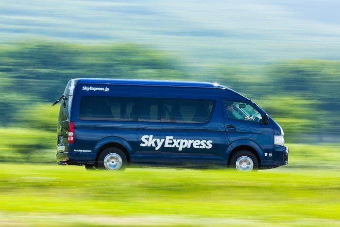 SkyExpress: Autumn Sounkyo Customised Private Day Tour (Up to 8 Passengers) - Who Is This Tour Best For?