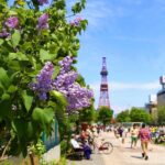 SkyExpress: Sapporo Customised Private Day Tour (Up to 15 Passengers) - Authentic & Practical Experience