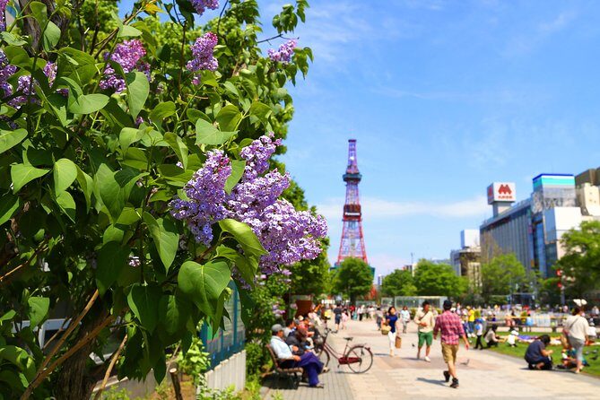 SkyExpress: Sapporo Customised Private Day Tour (Up to 15 Passengers) - Authentic & Practical Experience