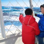 Skylon Tower, Niagara Falls Ontario Observation Deck Admission - Authentic Traveller Feedback & Tips