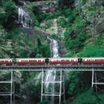 SKYRAIL CABLEWAY TRANSFER between Port Douglas & Skyrail (RETURN) - What makes this shuttle service stand out?