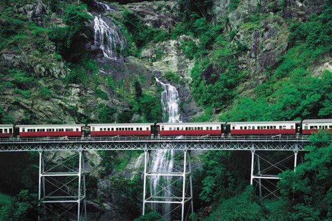 SKYRAIL CABLEWAY TRANSFER between Port Douglas & Skyrail (RETURN) - What makes this shuttle service stand out?