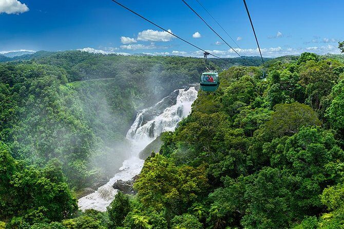 Skyrail Rainforest Cableway Day Trip from Port Douglas - Who Should Consider This Tour?