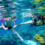 SkyReef Cozumel Snorkel & Tequila Tasting - Detailed Breakdown of the Journey