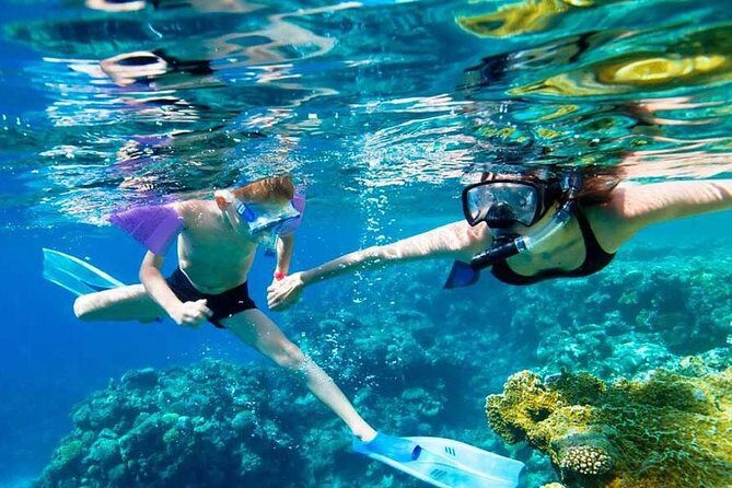 SkyReef Cozumel Snorkel & Tequila Tasting - Detailed Breakdown of the Journey