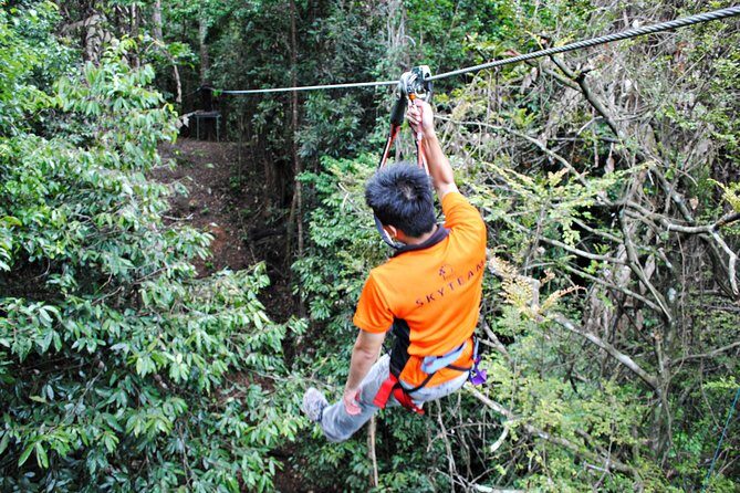 Skytrex Adventure in Langkawi (with transfers) - Price Analysis and Value