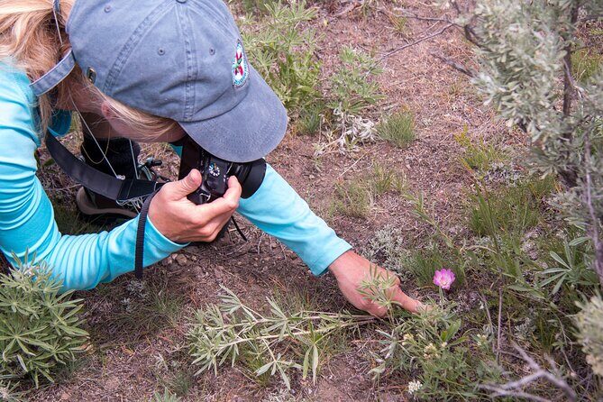 Slough Creek Naturalist Day Hike - Detailed Review of the Slough Creek Naturalist Day Hike