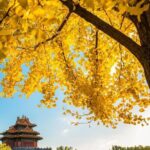 Small Group Beijing Layover Tour to Mutianyu Great Wall and Forbidden City - What to Expect and Practical Tips