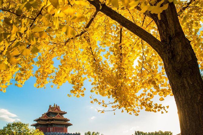 Small Group Beijing Layover Tour to Mutianyu Great Wall and Forbidden City - What to Expect and Practical Tips