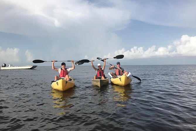 Small Group Boat, Kayak and Walking Guided Eco Tour Everglades - The Walking Component