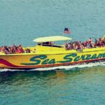 Small Group Clearwater Beach,Dolphin Watch Tour from Orlando - Key Points