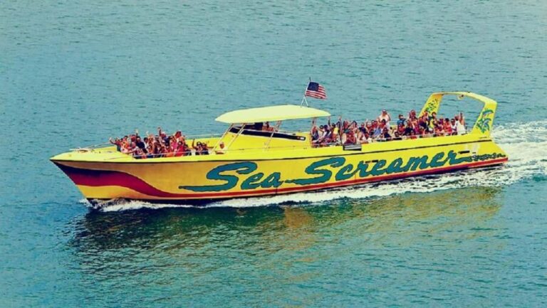 Small Group Clearwater Beach,Dolphin Watch Tour from Orlando - Key Points