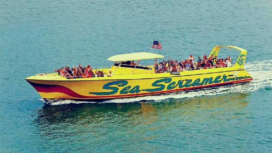 Small Group Clearwater Beach,Dolphin Watch Tour from Orlando - Key Points
