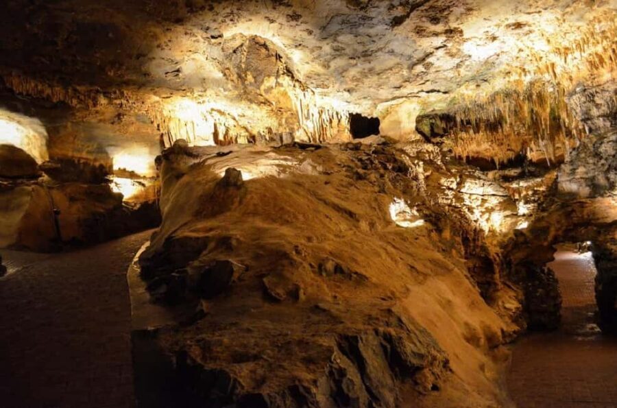 Small-Group D.C. Day Trip to Shenandoah Park & Luray Cavern - Discovering Virginia’s Natural Beauty
