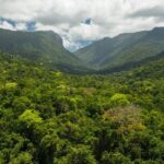Small Group Daintree Rainforest and Aboriginal Coastal Adventure - Next, Mossman Gorge Cultural Centre