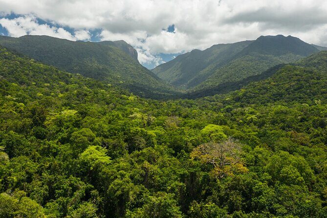 Small Group Daintree Rainforest and Aboriginal Coastal Adventure - Next, Mossman Gorge Cultural Centre