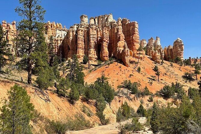 Small Group Day Tour To Explore Bryce Canyon & Zion National Park - Authentic Experiences & Traveler Insights
