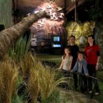Small Group Daytime 2-Hour Eco Wildlife Tour at Zealandia - Authentic Experiences and Real Visitor Insights