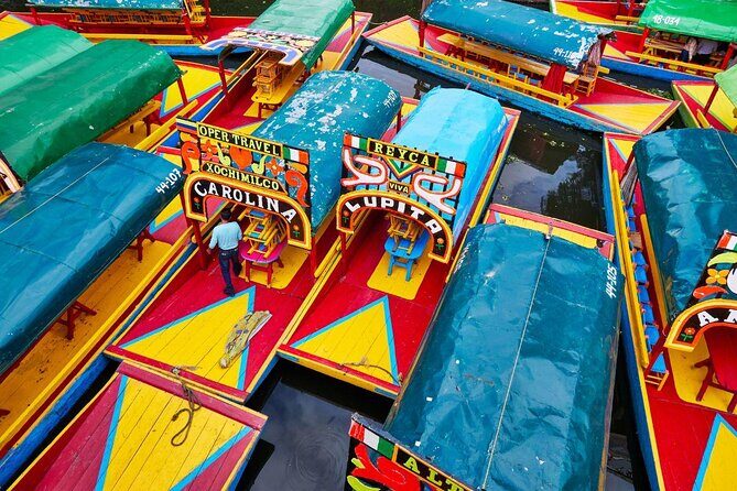 Small Group: Discover Xochimilco, Coyoacán, Frida Kahlo Museum and House - What the Experience Feels Like