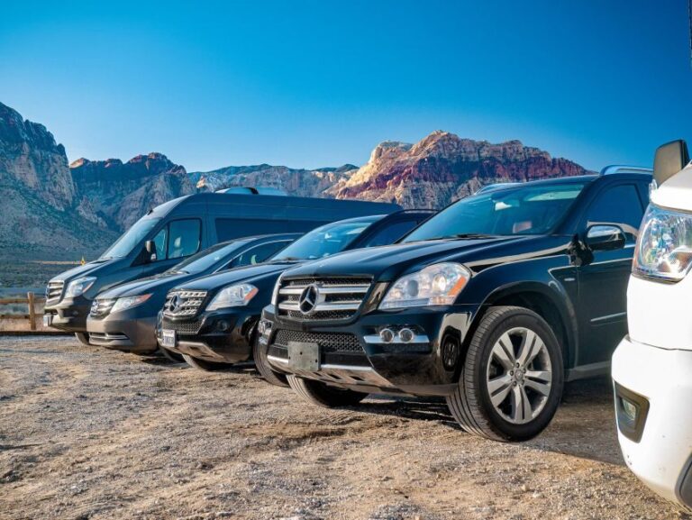 Small Group Family Tour at the Death Valley from Las Vegas - Exploring Zabriskie Point: Erosional Art in Stone