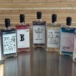 Small-Group Gin Making Lesson with Lunch in Barossa - The Experience Itself: Logistics and Atmosphere