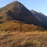 Small Group Hike to Ma On Shan Highland - Who Will Love This Tour?