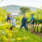 Small-Group Hunter Valley Wine Tasting Tour from Sydney - Who Will Love This Tour?