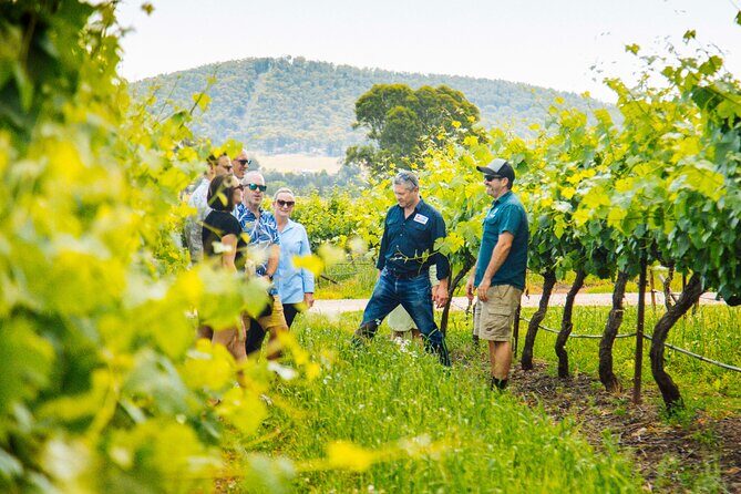 Small-Group Hunter Valley Wine Tasting Tour from Sydney - Who Will Love This Tour?