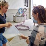 Small Group Hunter Valley Wine Tour w Lunch, Gin, Cheese & Choc - Final Thoughts