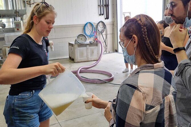 Small Group Hunter Valley Wine Tour w Lunch, Gin, Cheese & Choc - Final Thoughts