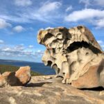 Small Group Kangaroo Island Tour - Best of KI in 2 Days - The True Value of This Tour