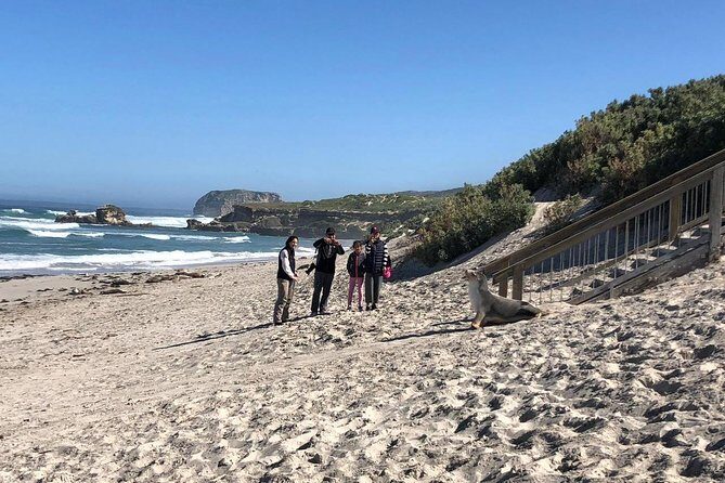 Small Group Kangaroo Island Tour - Seal Bay - Detailed Breakdown of the Itinerary
