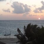 Small-Group Mesoamerican Barrier Reef Snorkeling in Puerto Morelos - Authentic Feedback from Travelers