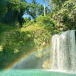 Small Group Moalboal and Badians Ultimate Adventure Tour - Who Will Love This Tour?
