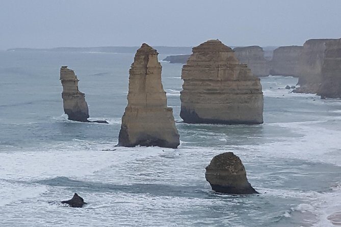 Small Group Personalised Private Tours Melbourne (up to 14 pax) - What Travelers Say