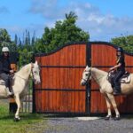 Small Group Rainforest Trail Ride - In-Depth Review of the Rainforest Trail Ride Experience
