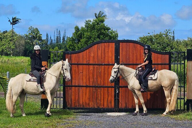 Small Group Rainforest Trail Ride - In-Depth Review of the Rainforest Trail Ride Experience