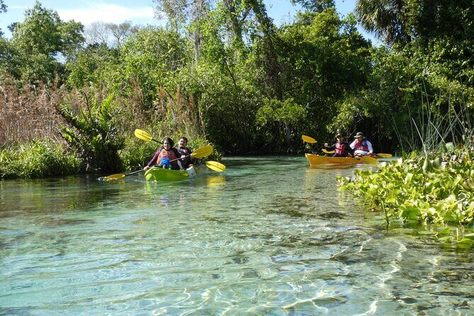 Small Group Rock Springs Run Eco Kayak Adventure - Itinerary Breakdown: What to Expect at Each Stop
