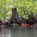 Small-Group Sea Kayaking in Ao Thalane Bay and Hong Island from Krabi - What Travelers Say