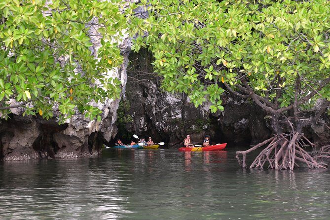 Small-Group Sea Kayaking in Ao Thalane Bay and Hong Island from Krabi - What Travelers Say
