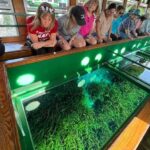 Small Group Silver Springs State Park Day Tour from Orlando - In-Depth Itinerary Breakdown